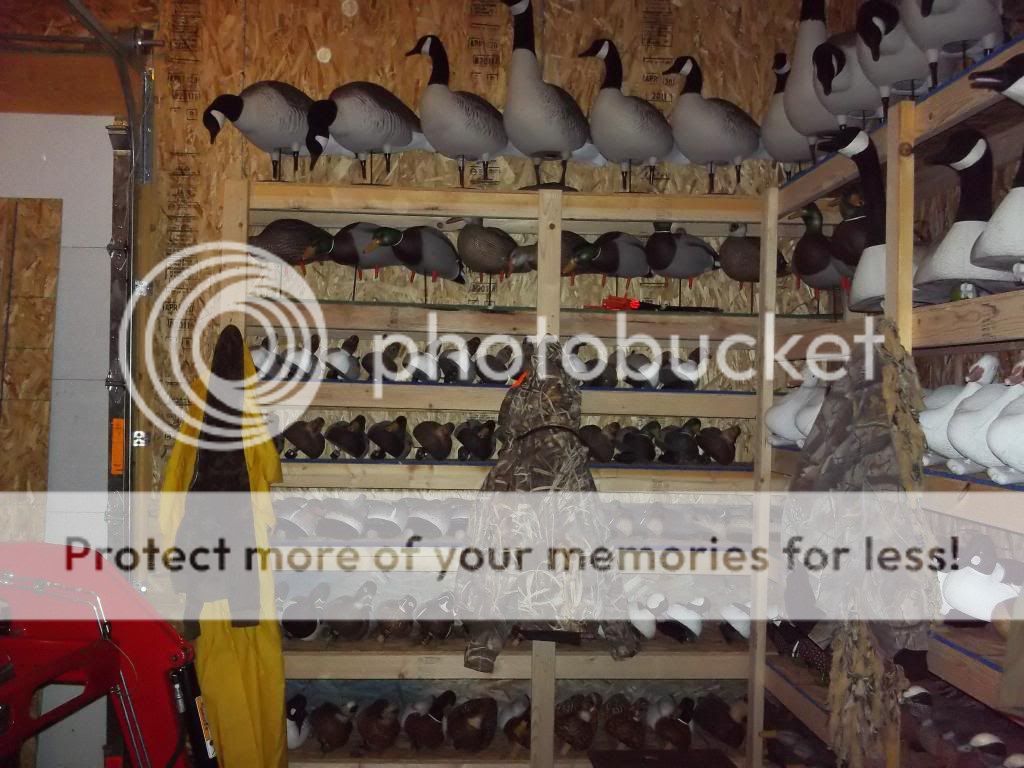 Decoy Storage | Duck Hunting Forum