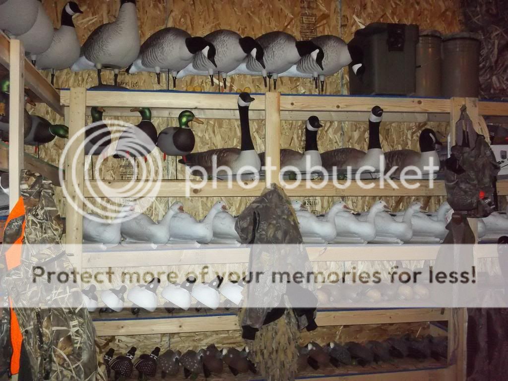 Decoy Storage | Duck Hunting Forum