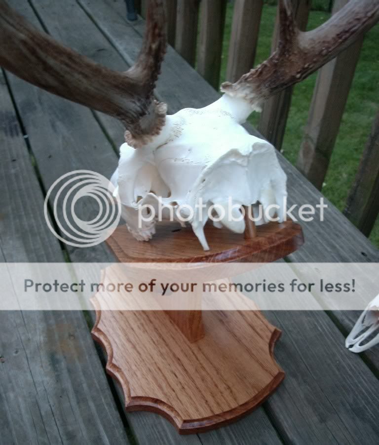 European Mount Pot at Hamish Gunther blog