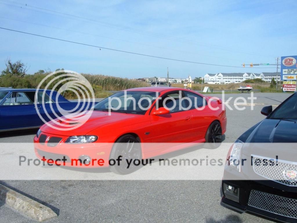 Niche wheels? | LS1GTO Forums