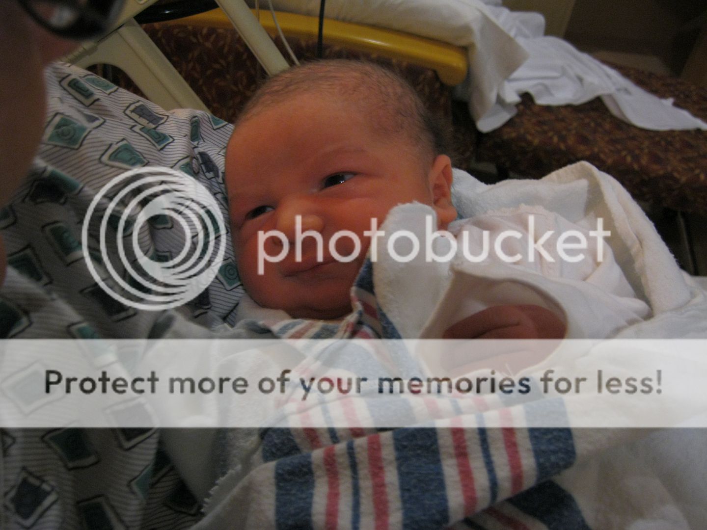 It's a boy!!!! | The H.A.M.B.